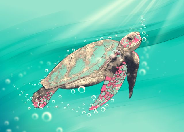'sea turtle' Poster by Martin Ivanov | Displate