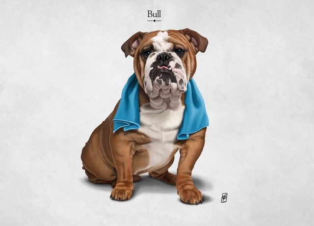 'Bull' Poster by rob art | illustration | Displate