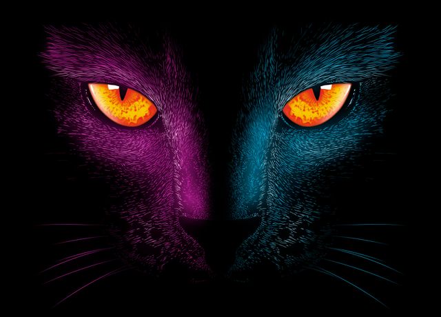 'Retro Cat' Poster by Denis Orio Ibañez | Displate