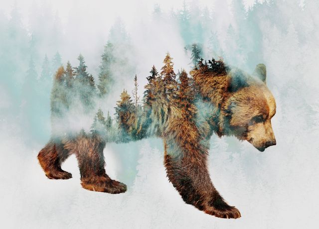 'Bear' Poster by Mateusz Ślemp | Displate