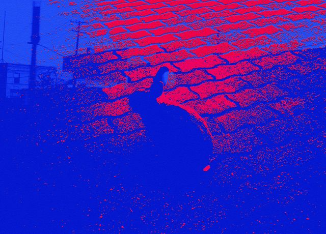 'Rabbit sitting III' Poster by Edit Erdei | Displate