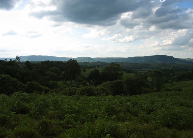 'The valley v2' Poster by wagnerps | Displate