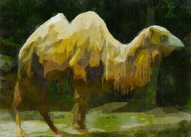 'Camel wet paint' Poster, picture, metal print, paint by Uda Buyung ...