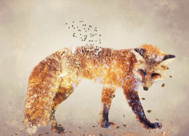 'Autumn Fox' Poster by Claudia McKinney | Displate