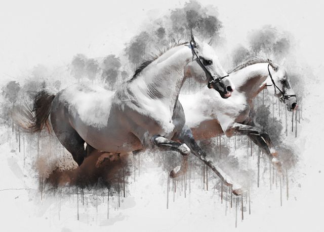'Gallop' Poster by Aivaras Grauzinis | Displate