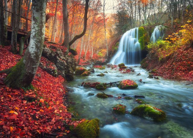 'Autumn forest waterfall' Poster by Nordika | Displate