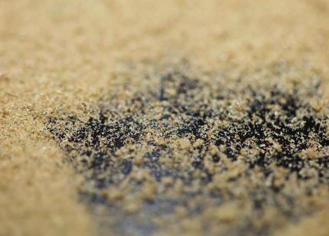 'Cannabis THC background' Poster by BakalaeroZz Photography | Displate