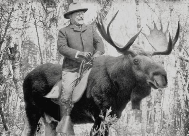 Roosevelt Riding A Moose
