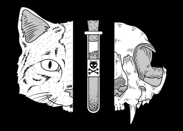 'Schrodingers Cat Physicist' Poster, picture, metal print, paint by ...