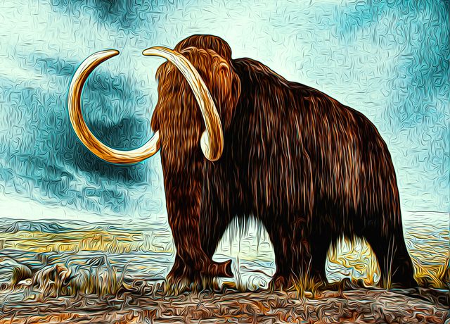 'Mammoth' Poster by Tiker Arts | Displate