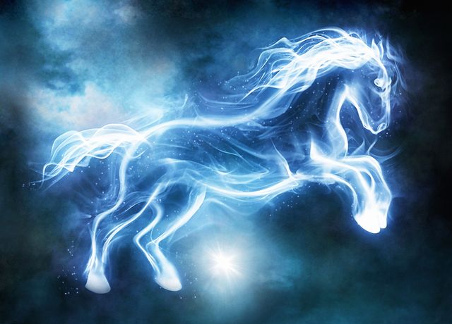 'Horse Patronus' Poster, picture, metal print, paint by Wizarding World ...