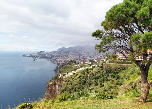 'Madeira Portugal Funchal' Poster by dkDesign | Displate