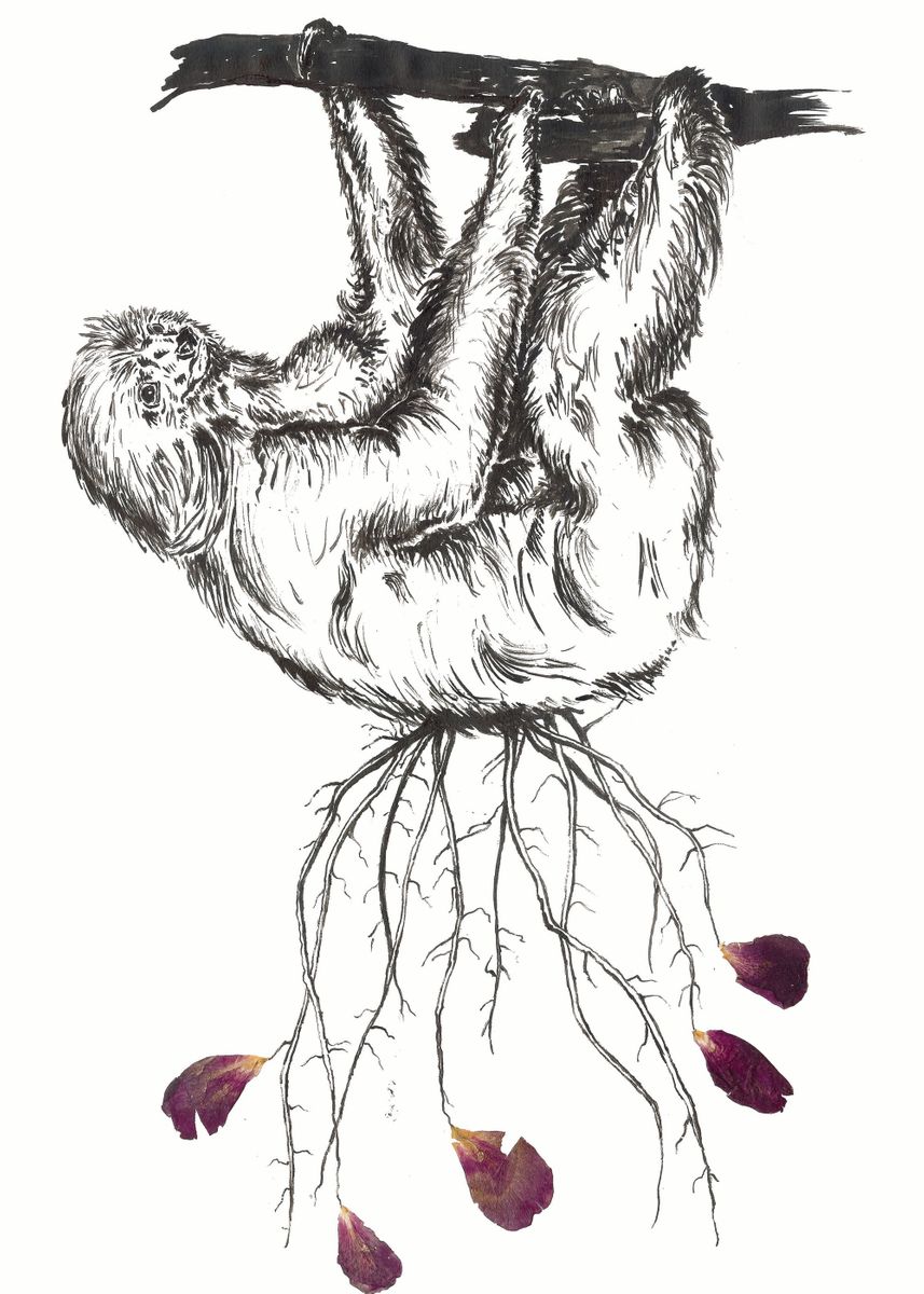 'Sloth - Indian ink and mixed media' Poster by Luke Kiley | Displate