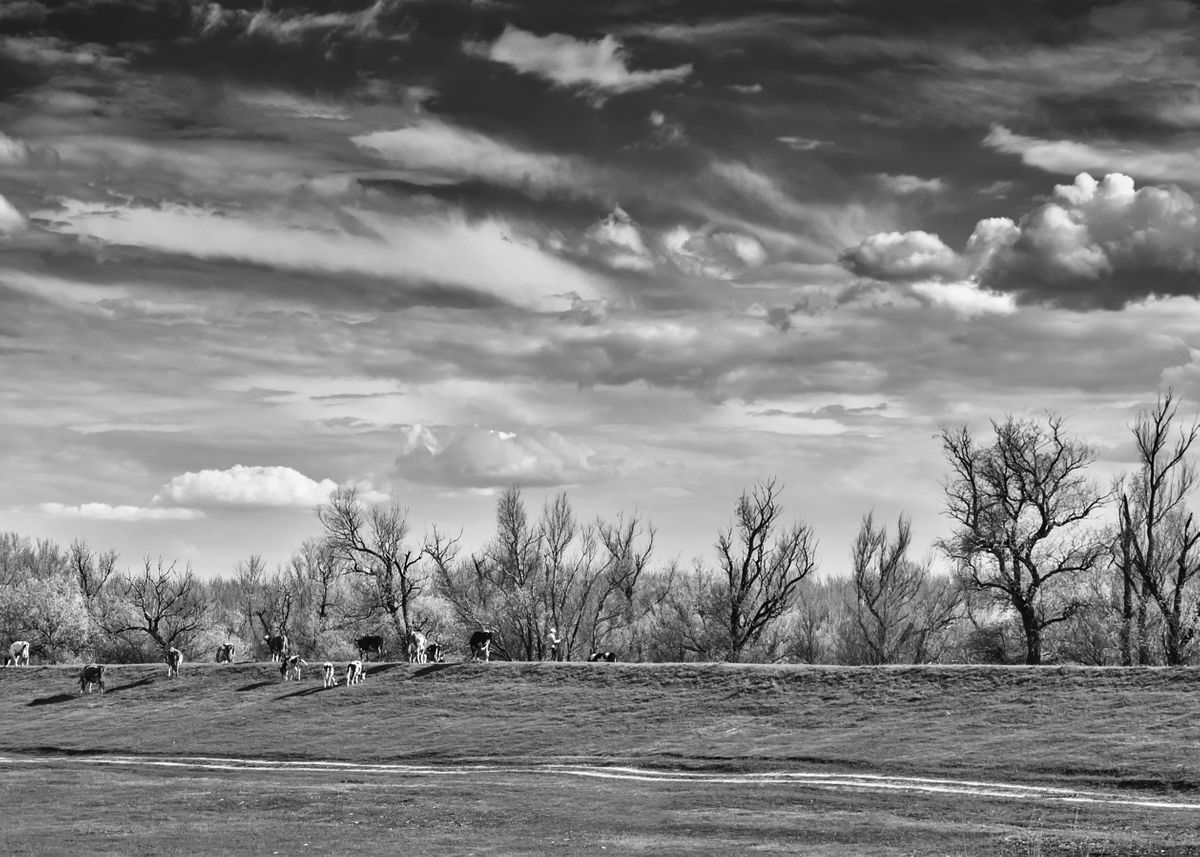 'Landscape' Poster by Ivan Aleksic | Displate