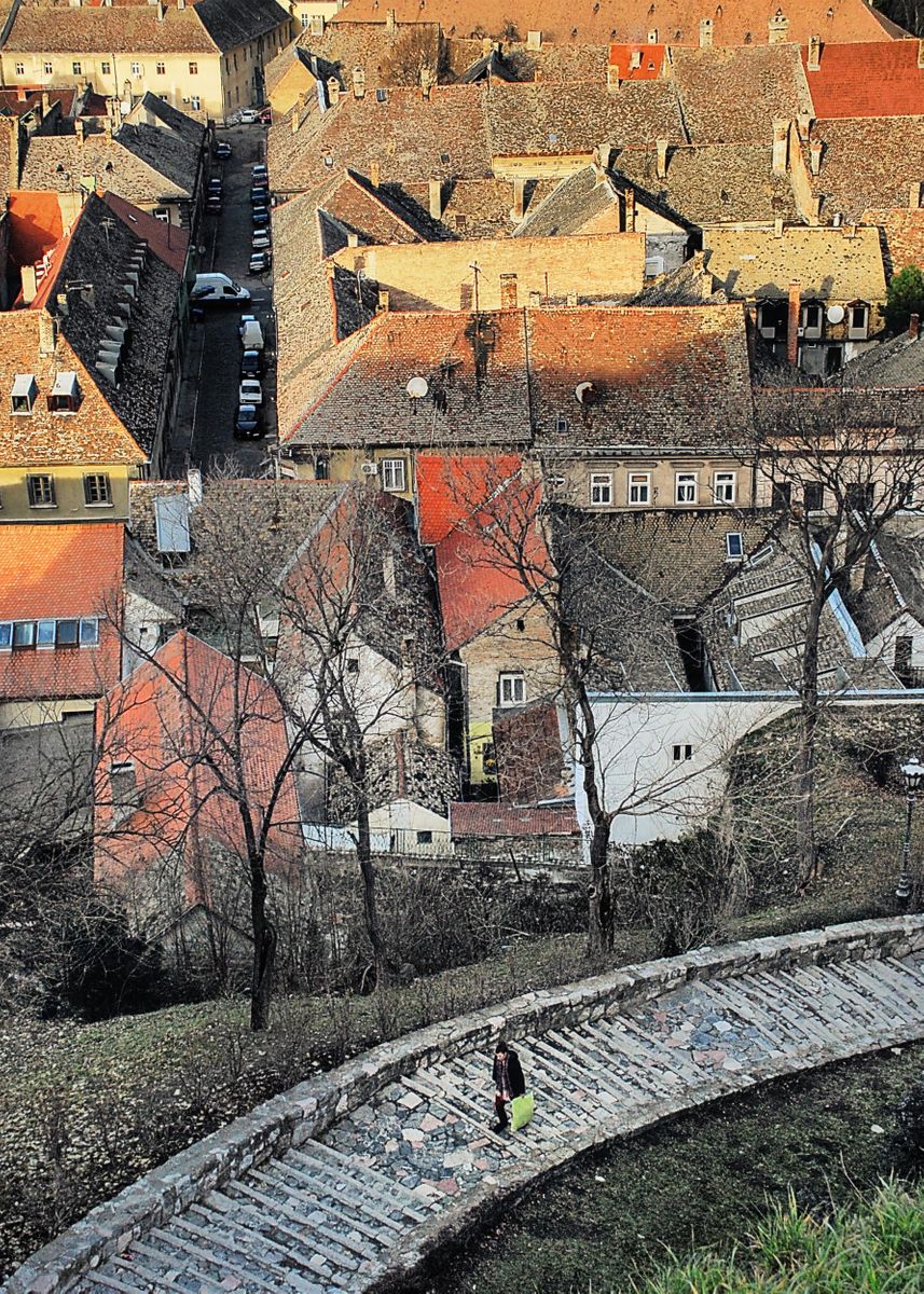 'Roofs' Poster by Ivan Aleksic | Displate