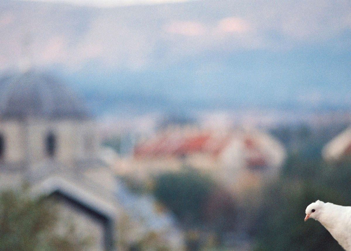 'View' Poster by Ivan Aleksic | Displate