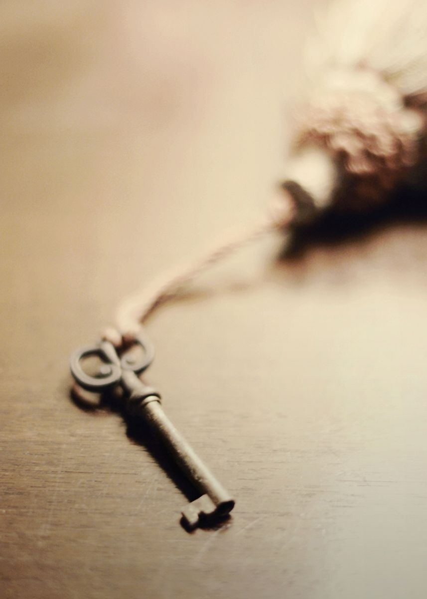 'A Key...' Poster, picture, metal print, paint by Trish Mistric | Displate