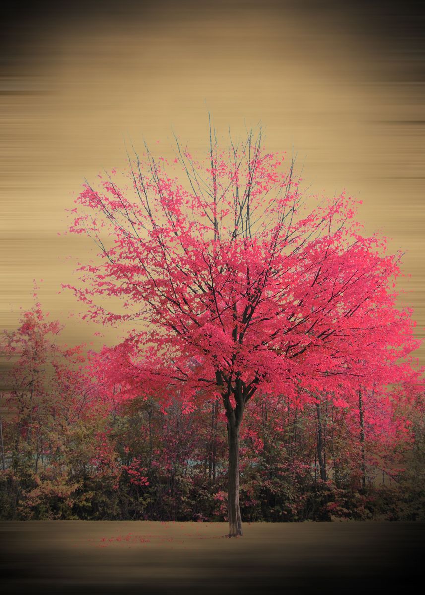 'Pink Tree' Poster, picture, metal print, paint by Markus Wegner | Displate