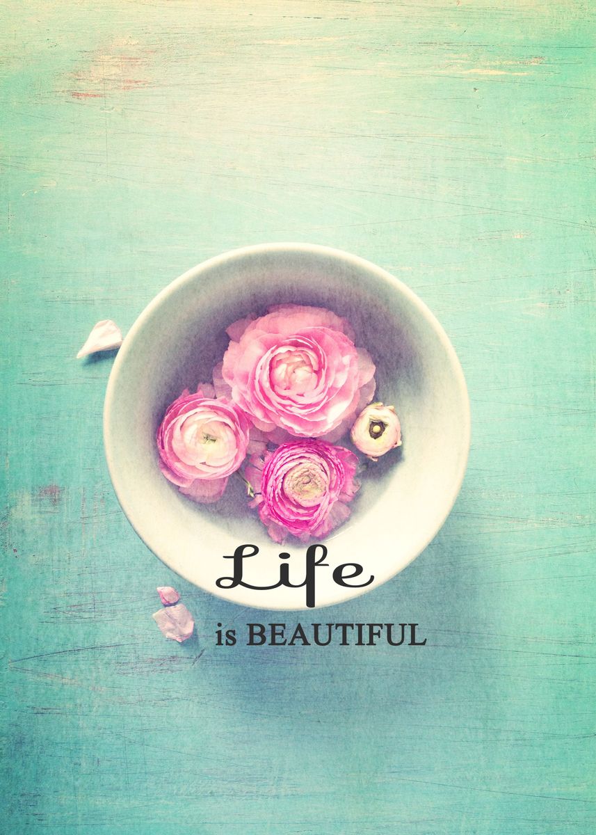 'Life is beautiful when you open yourself up to it.' Poster, picture ...