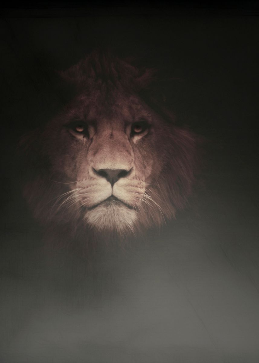 'THE WARRIOR - LION IN THE DARK' Poster by Monika Strigel® | Displate