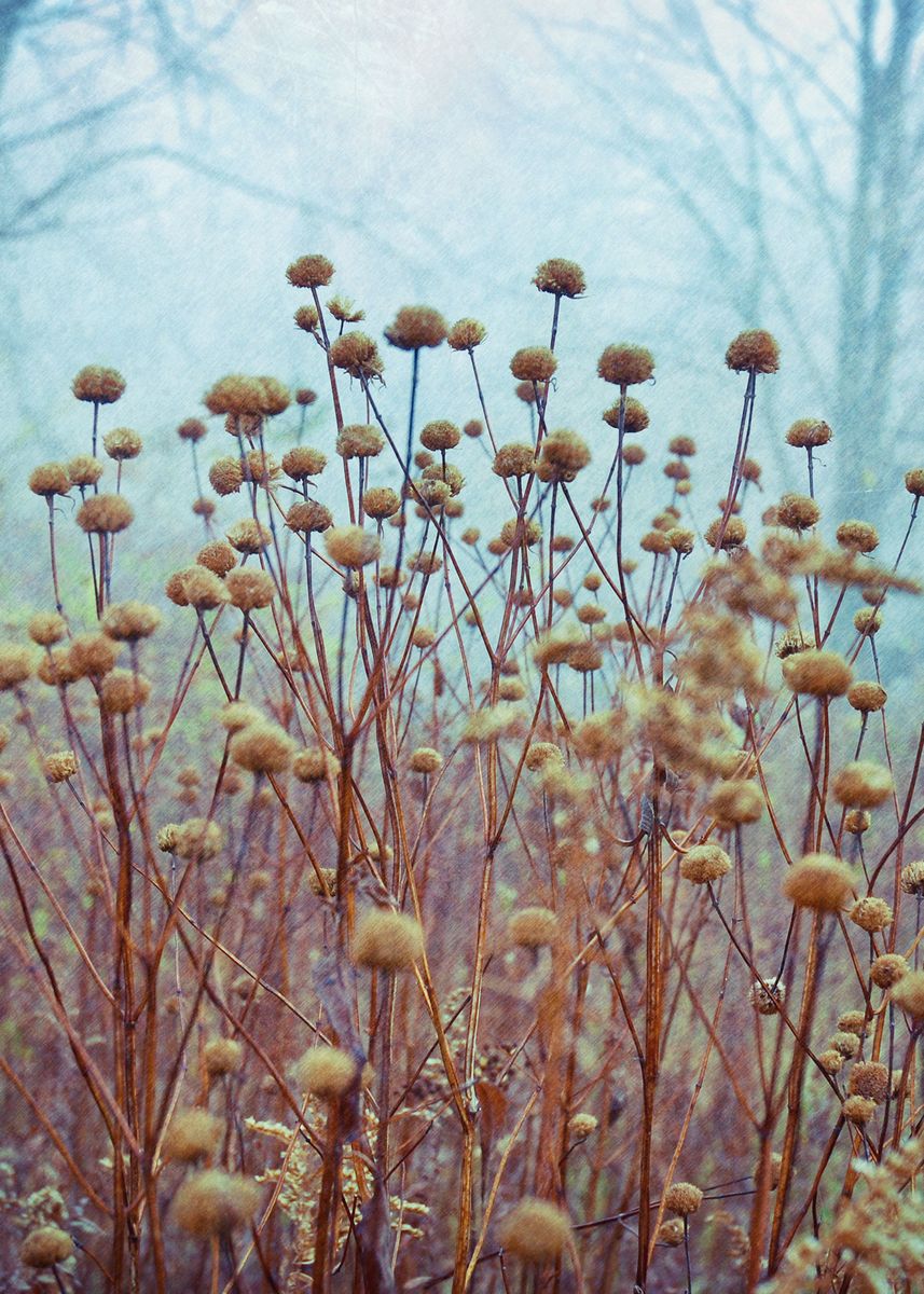 'Spring Dance fog nature dreamy ethereal spring' Poster by Olivia ...