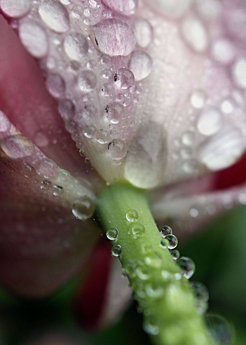 'Stem The Flow' Poster by brian raggatt | Displate