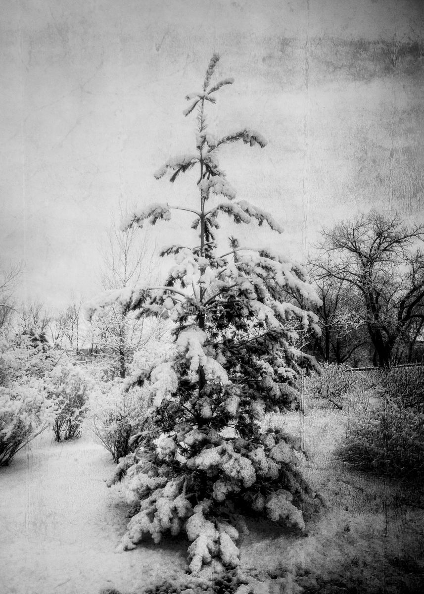 'Sentinal' Poster by Stephen Miller | Displate