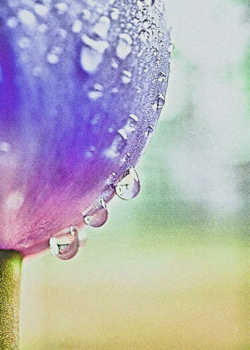 'Noisy Nature' Poster, picture, metal print, paint by brian raggatt ...