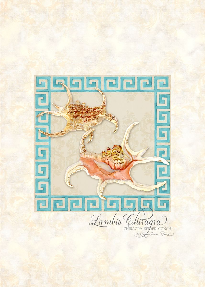 'Greek Key Lambis Chiragra Conch Shells Watercolor - Han ... ' Poster ...