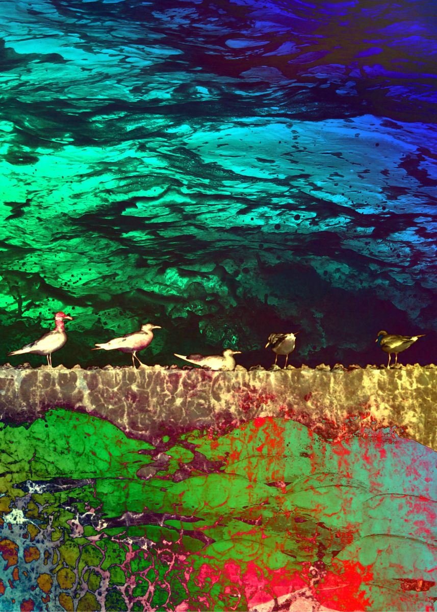 'golden seagulls' Poster by agnes trachet | Displate