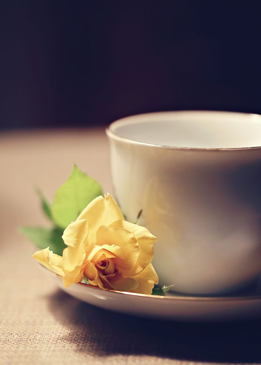 'Tea Time and Roses' Poster, picture, metal print, paint by Trish ...