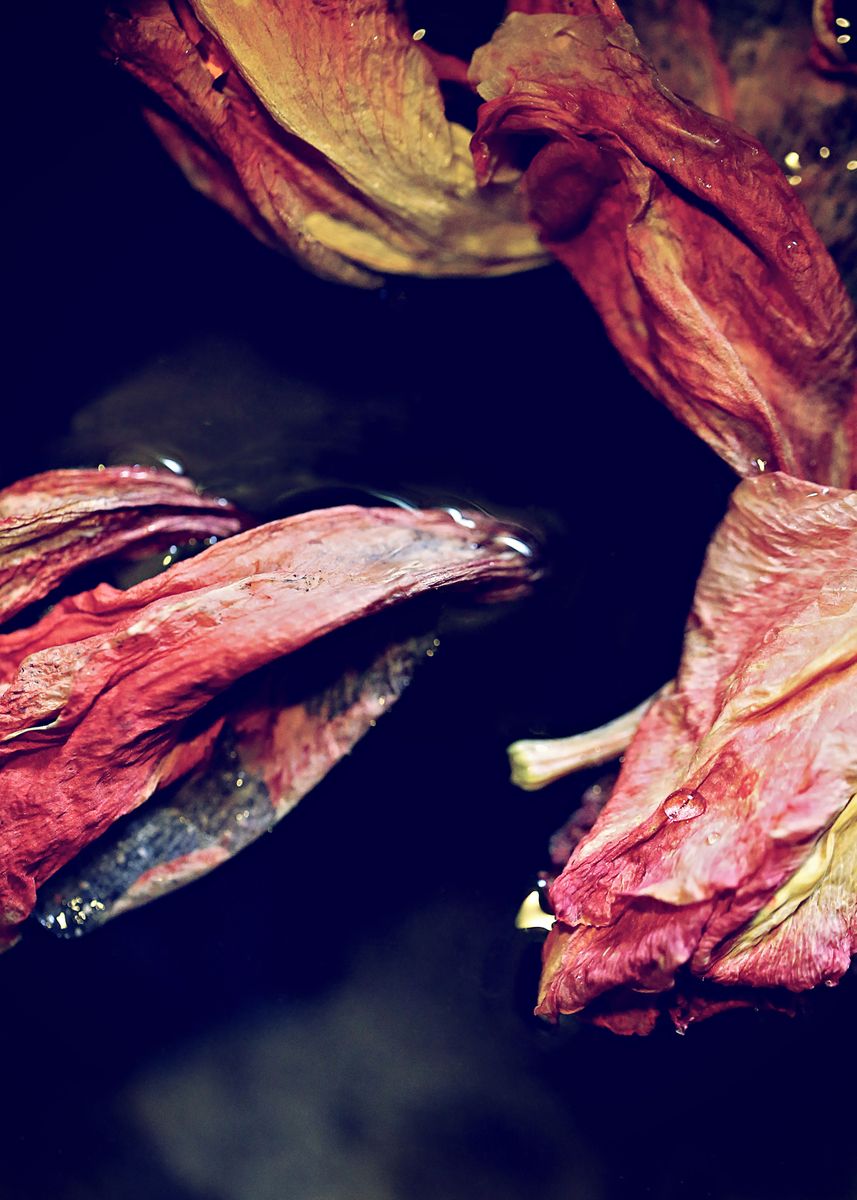 'The Well' Poster, picture, metal print, paint by Trish Mistric | Displate