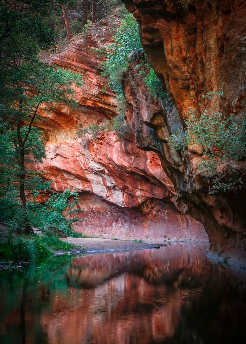 'Reflections of Oak Creek' Poster, picture, metal print, paint by Tom ...