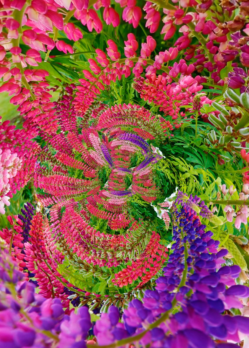 'Circle of Life' Poster, picture, metal print, paint by Tom Reiman ...