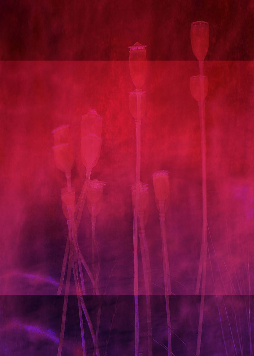 'Poppy Night' Poster, picture, metal print, paint by aRT sKRATCHES ...