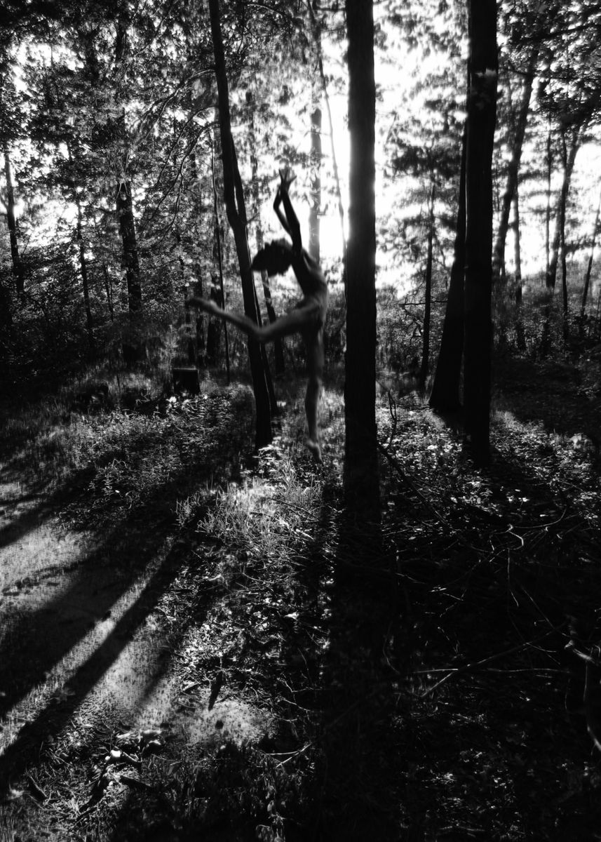 'Waltz of Sunlight' Poster, picture, metal print, paint by Gregory ...