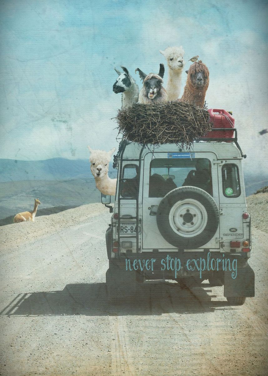 'NEVER STOP EXPLORING - Summer Edition' Poster, picture, metal print ...