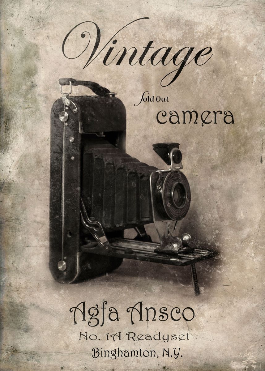'Vintage Agfa Camera' Poster, picture, metal print, paint by Jill ...
