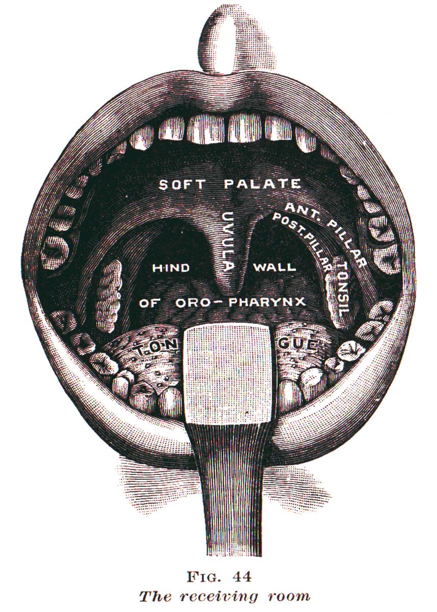 'The Receiving Room' Poster, picture, metal print, paint by anT Art ...