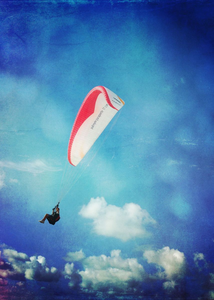 'fly high' Poster by Fab DP | Displate