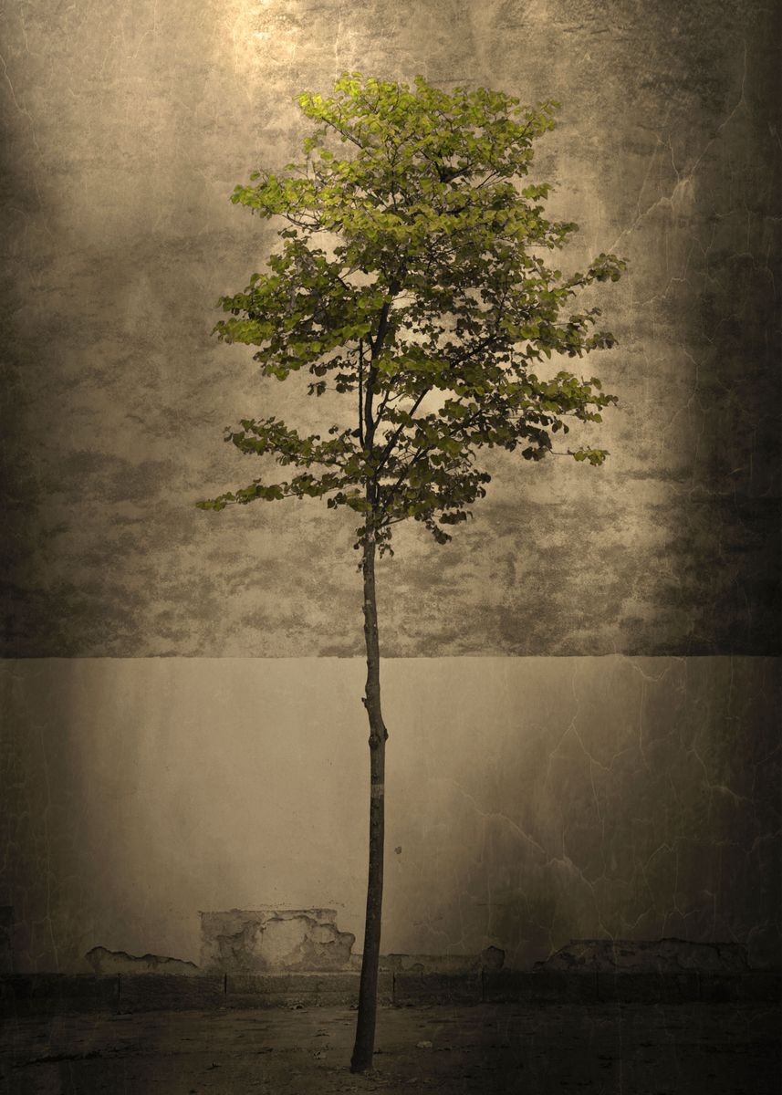 'Once Upon a Tree' Poster, picture, metal print, paint by Victoria ...