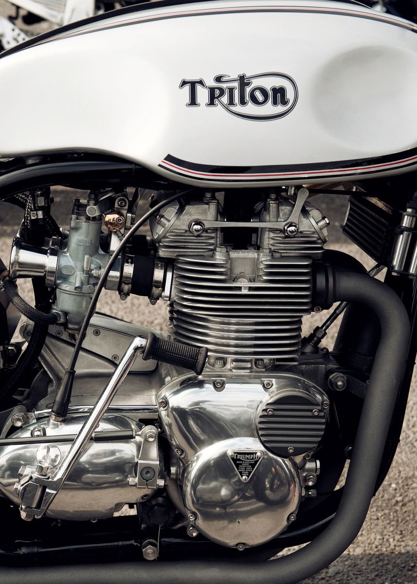 'TRITON BRITISH MOTORCYCLE' Poster, picture, metal print, paint by ivo ...