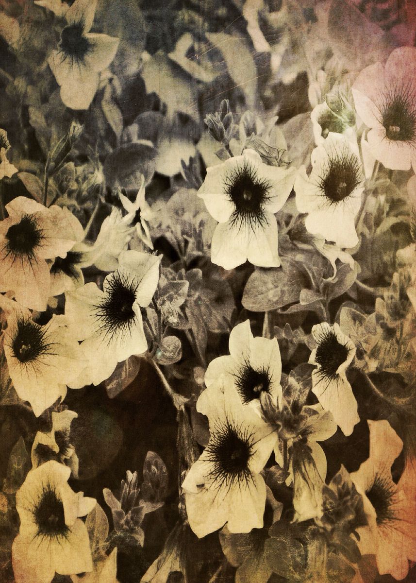 'Soul Flowers' Poster, picture, metal print, paint by Victoria Herrera ...