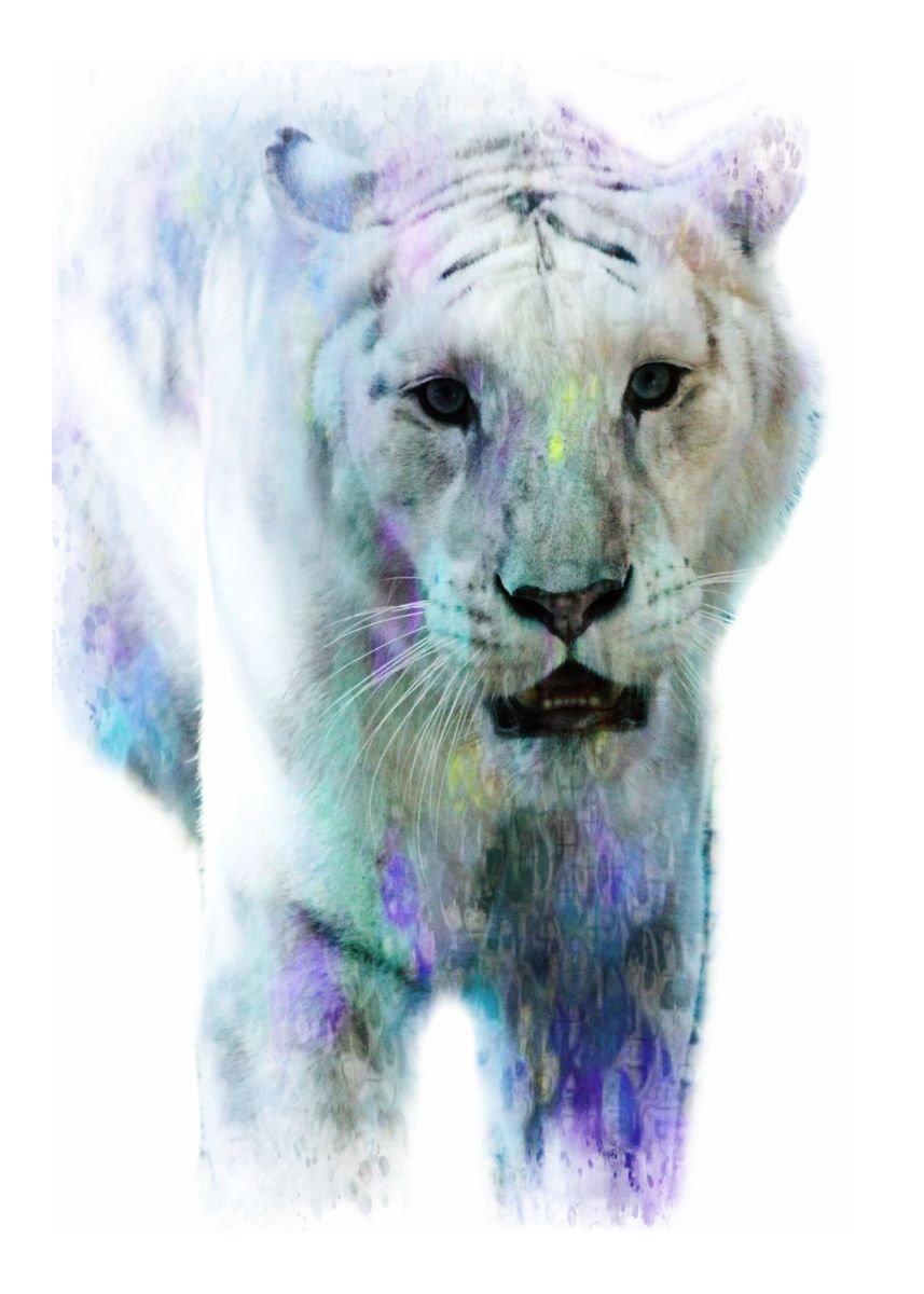 'White Tiger through Pastels' Poster, picture, metal print, paint by ...