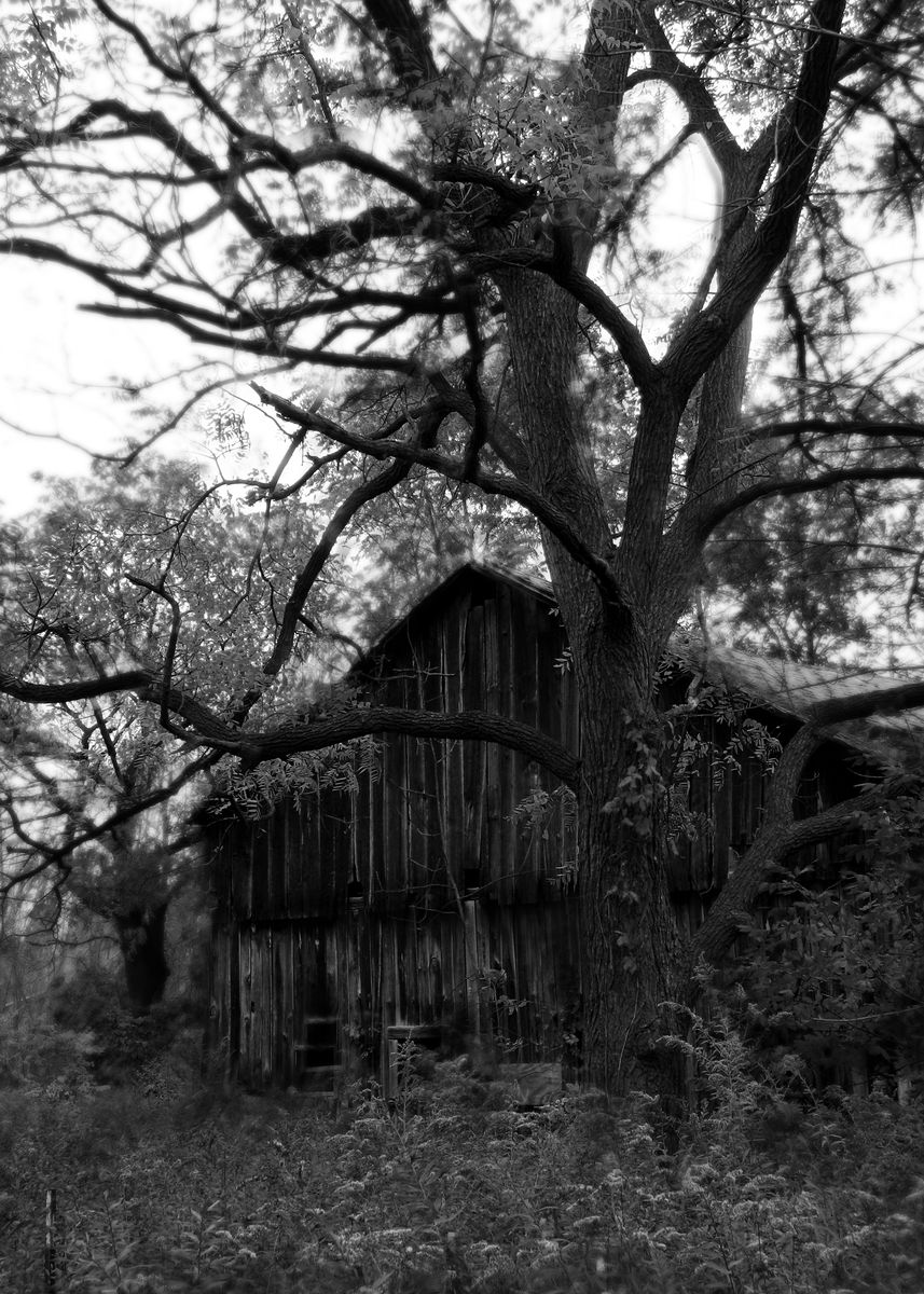 'Barn' Poster, picture, metal print, paint by Gregory James Wyrick ...