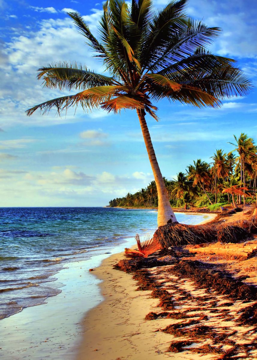 'Tropical Island Beach' Poster by brian raggatt | Displate