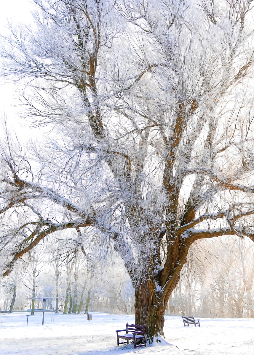 'Winter tree' Poster, picture, metal print, paint by Svetlana Sewell ...