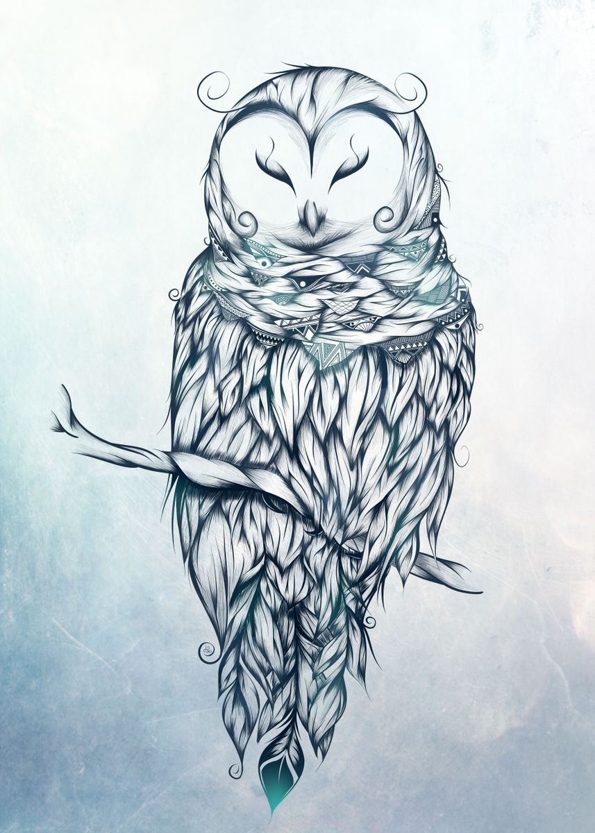 'Snow Owl' Poster by LouJah | Displate