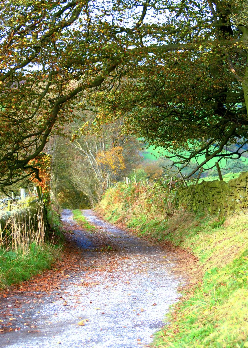 'Country Road' Poster, picture, metal print, paint by brian raggatt ...