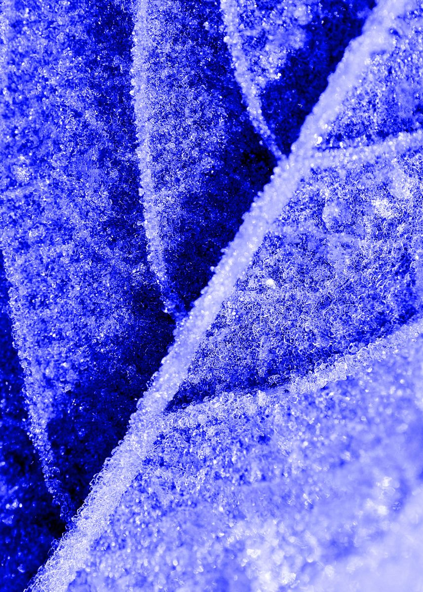 'Frozen out' Poster, picture, metal print, paint by brian raggatt ...